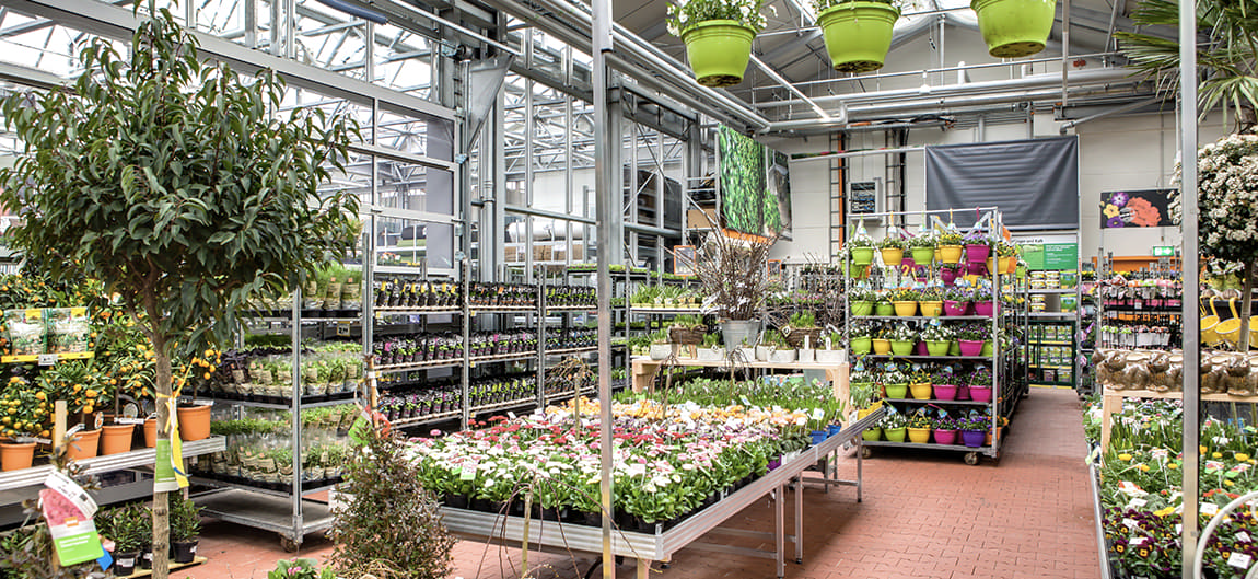 Jardin Paradis OBI La Praille | Tout pour ton jardin