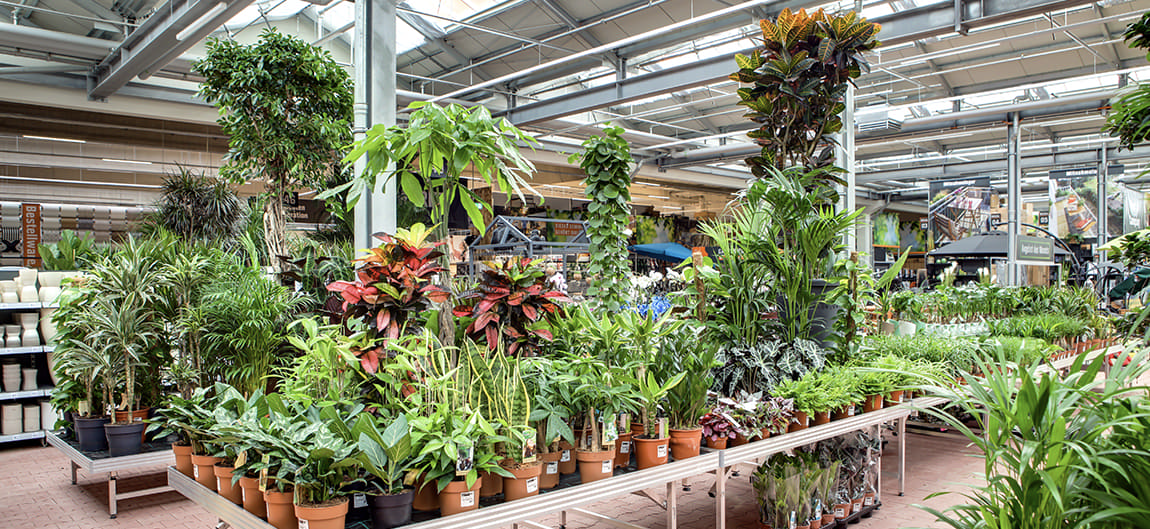 Jardin Paradis OBI La Praille | Tout pour ton jardin